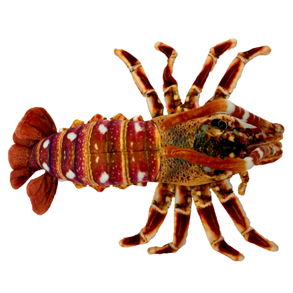 Corney Crayfish - Huggable Toys