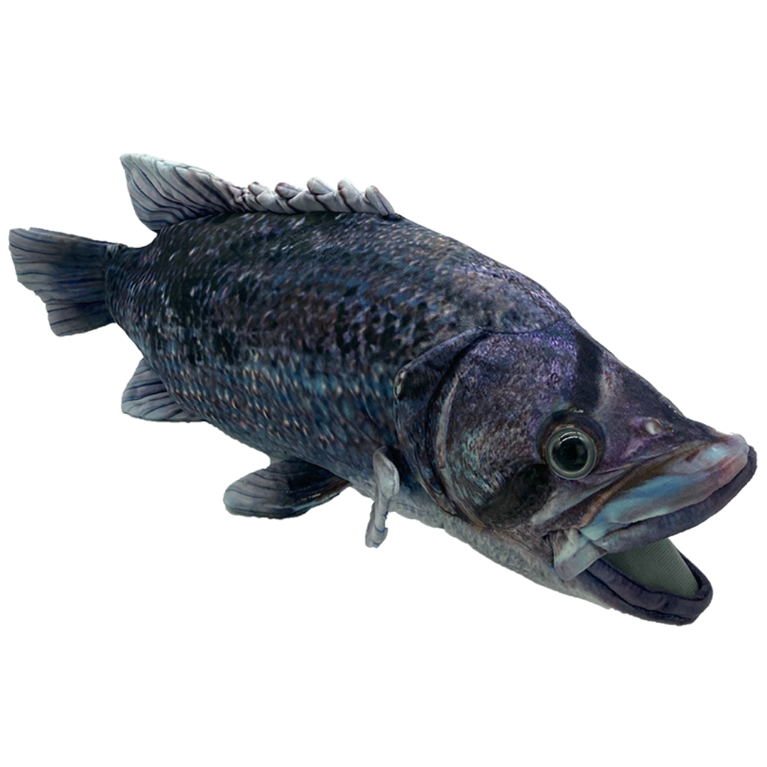 Drake Dhufish - Huggable Toys