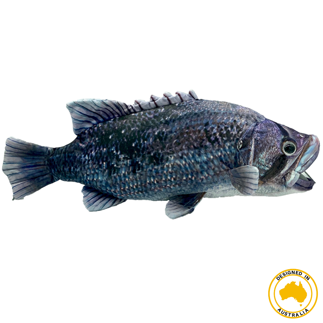 Drake Dhufish - Huggable Toys